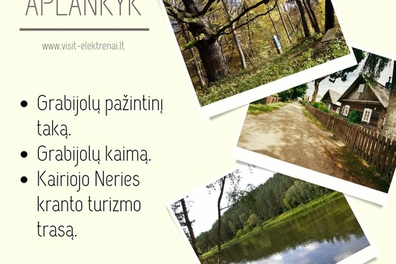 visit-try-in-Elektrenai