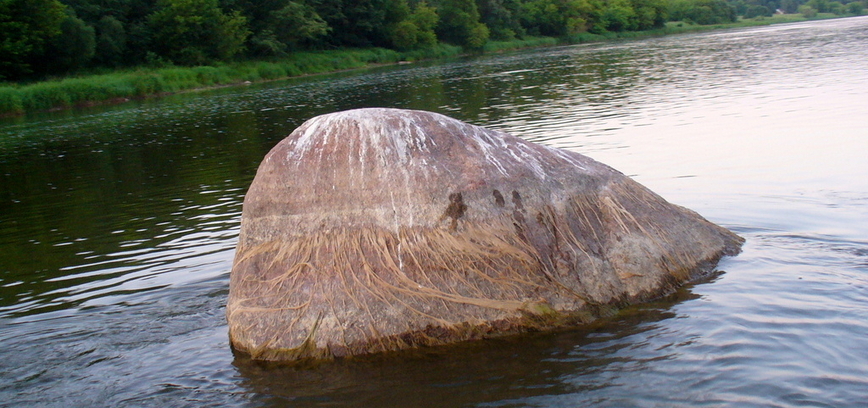 Akmuo TILVIKAS (Gaidelis)